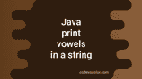 Java program to print the vowels in a string - CodeVsColor