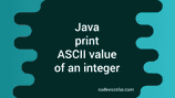 Java program to print the ASCII value of an integer - CodeVsColor