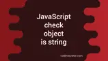 3 ways to check if an object is string or not in JavaScript - CodeVsColor