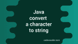 Java program to convert a character to string - CodeVsColor