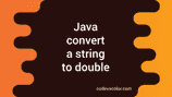 4 different ways to convert a string to double in Java - CodeVsColor