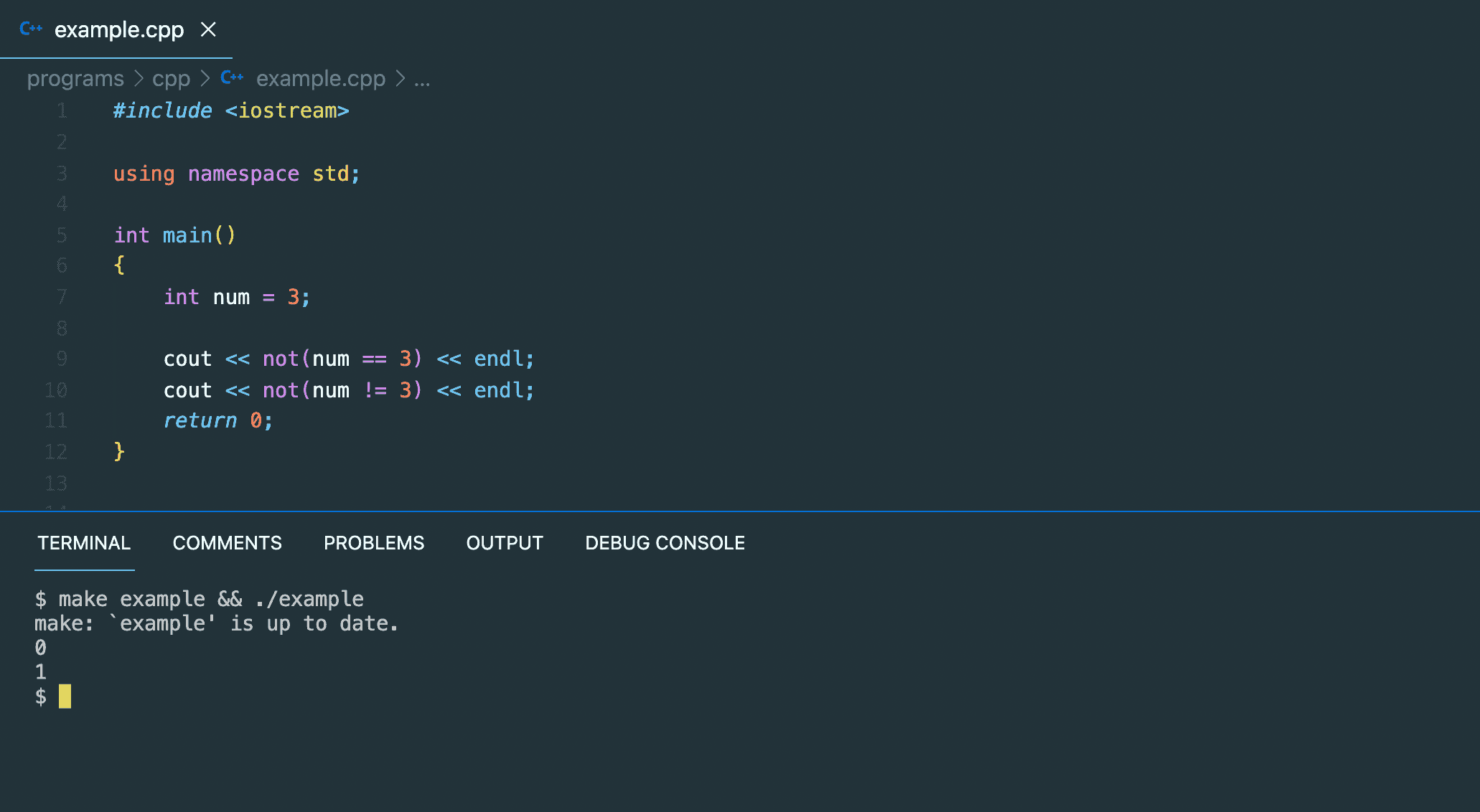How To Use Logical Not Operator Operator In C CodeVsColor