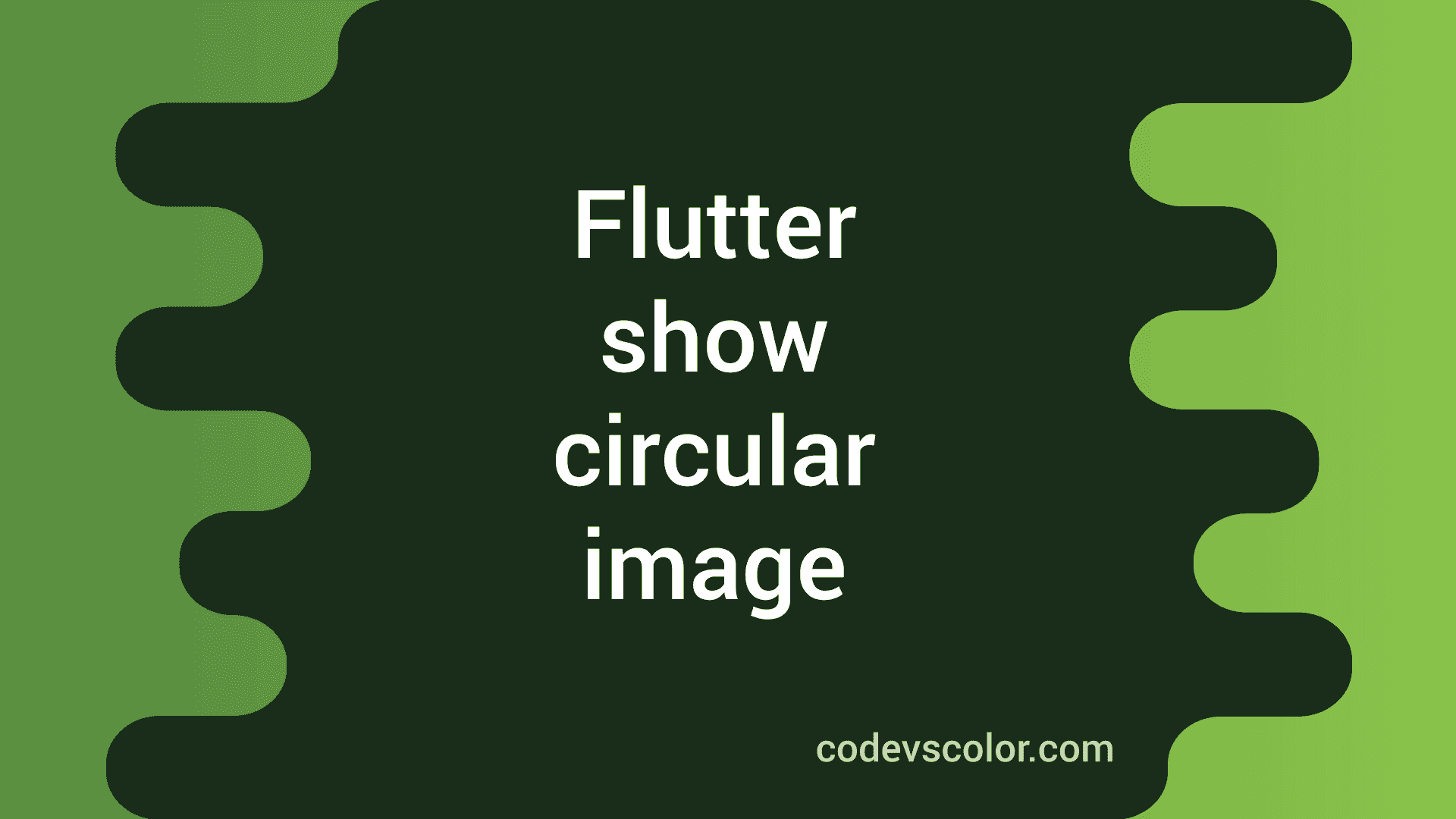 How to create a circular image in flutter - CodeVsColor