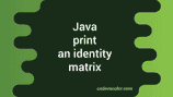 Java program to print an identity matrix - CodeVsColor