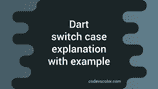 Dart switch case with example - CodeVsColor