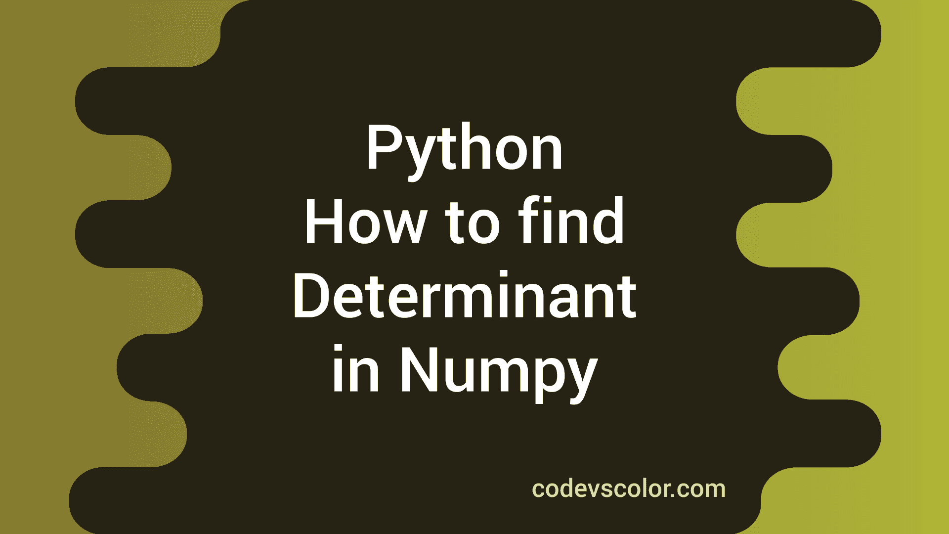 How to find Determinant in Python Numpy - CodeVsColor
